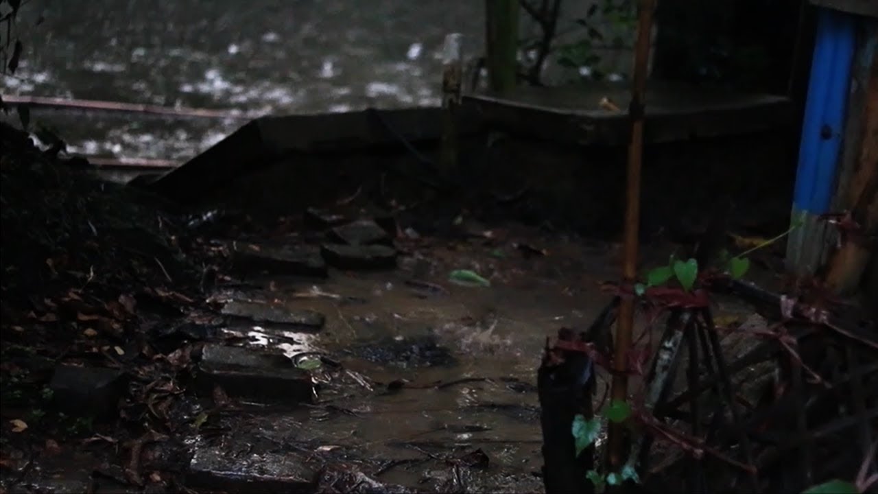 Relaxing Rain Falling On Village Pond Water | 10 Hours Relaxing Rain ...