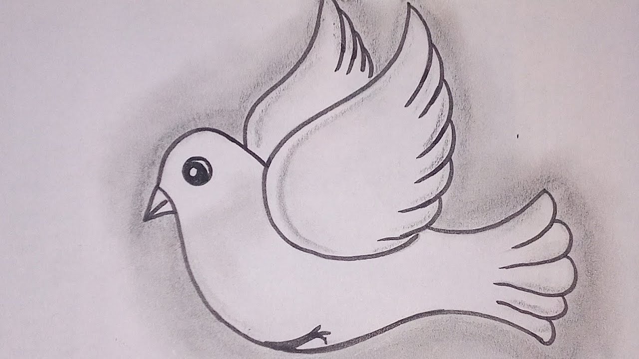 how to draw a flying brid ।। easy dove brid drawing step by step,🕊️🕊️ ...