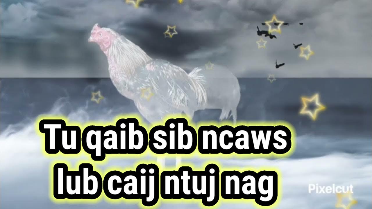 Tu qaib sib ncaws lub caij ntuj nag no yuav tu li cas thiaj muaj zog - YouTube