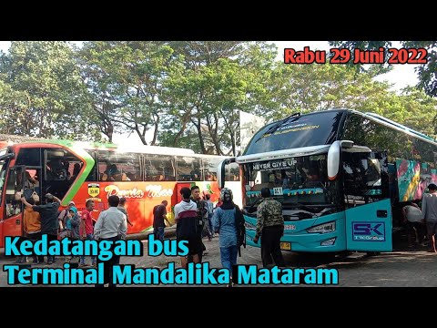 kedatangan bus Rabu 29 Juni 2022 || Terminal Mandalika Mataram - YouTube