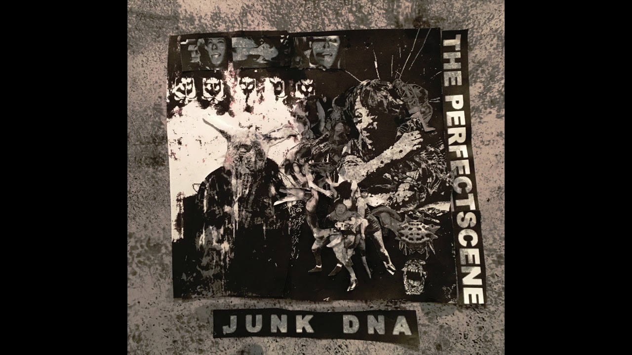 junk dna - the perfect scene [full album] - YouTube