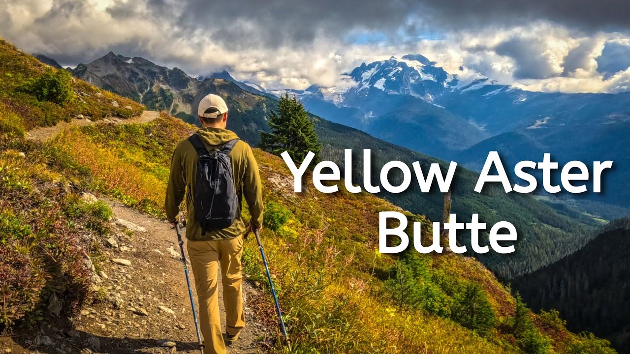 Hiking Yellow Aster Butte and Tomyhoi Peak - Mount Baker Wilderness - YouTube