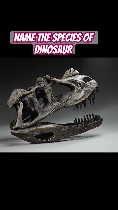 Are you a dinosaur expert? Name the species! - YouTube