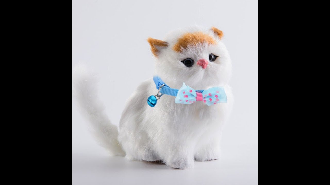 Cat Collar With Bow Tie And Bell - YouTube