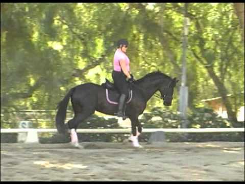 Hilda Gurney Tutorial on How to Ride the Shallow Loop Serpentine - YouTube