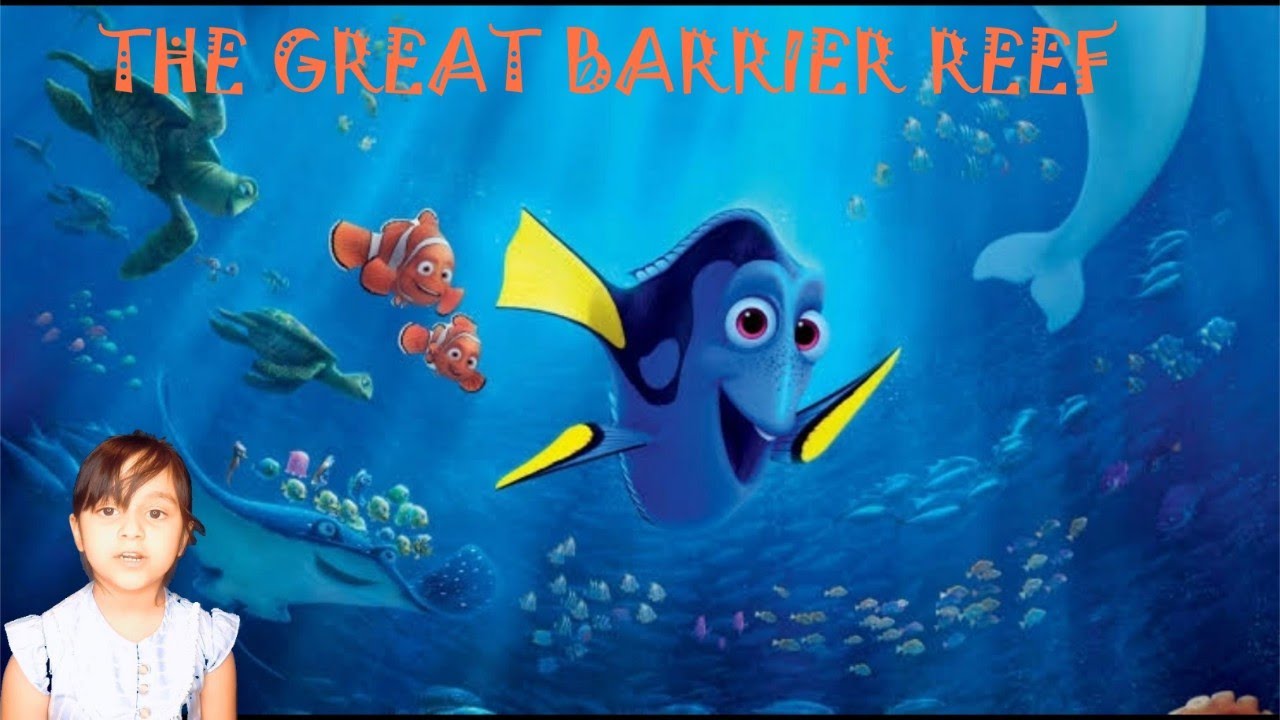 The Great Barrier Reef | Nemo | Sea life | Cairns Reef | Australia ...