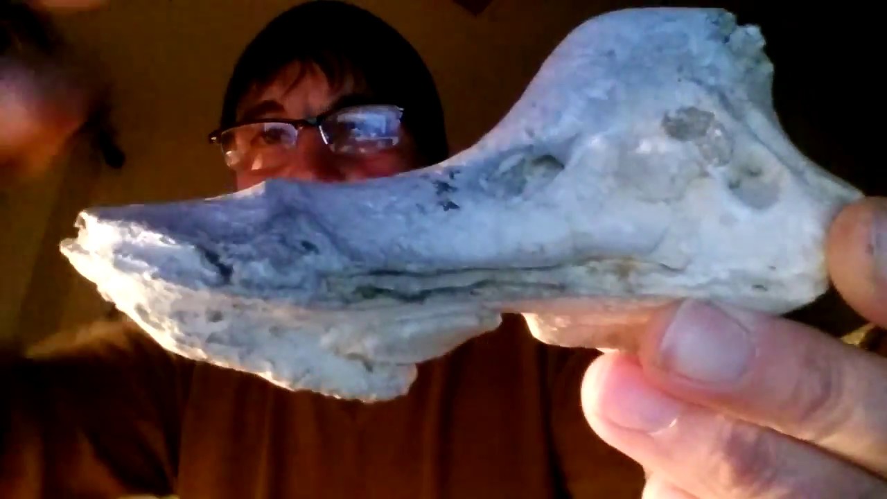 More UK Mud Fossils Crocodile Falcon & Stone Effigies - YouTube