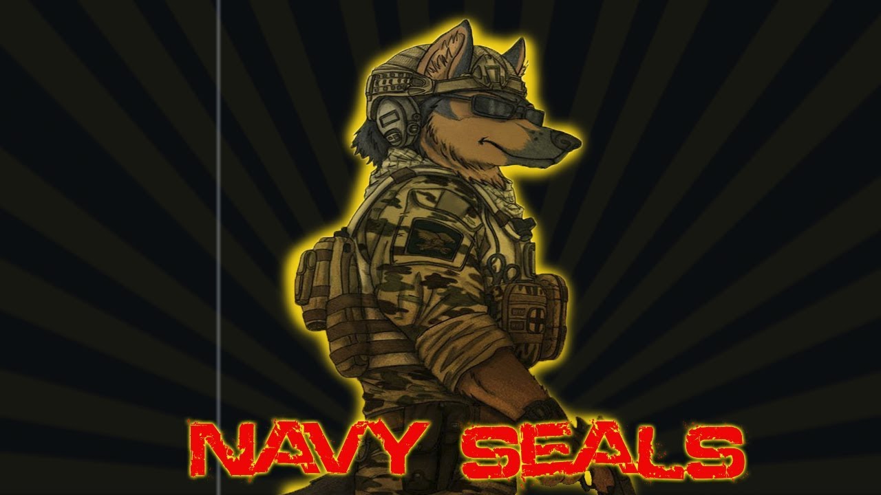 NAVY SEALS MISION,,, RAINBOW SIX SIEGE /pc - YouTube