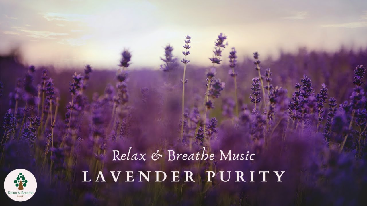 Relaxing Piano Music: Flower Series No. 2 - Lavender Purity | Relax ...