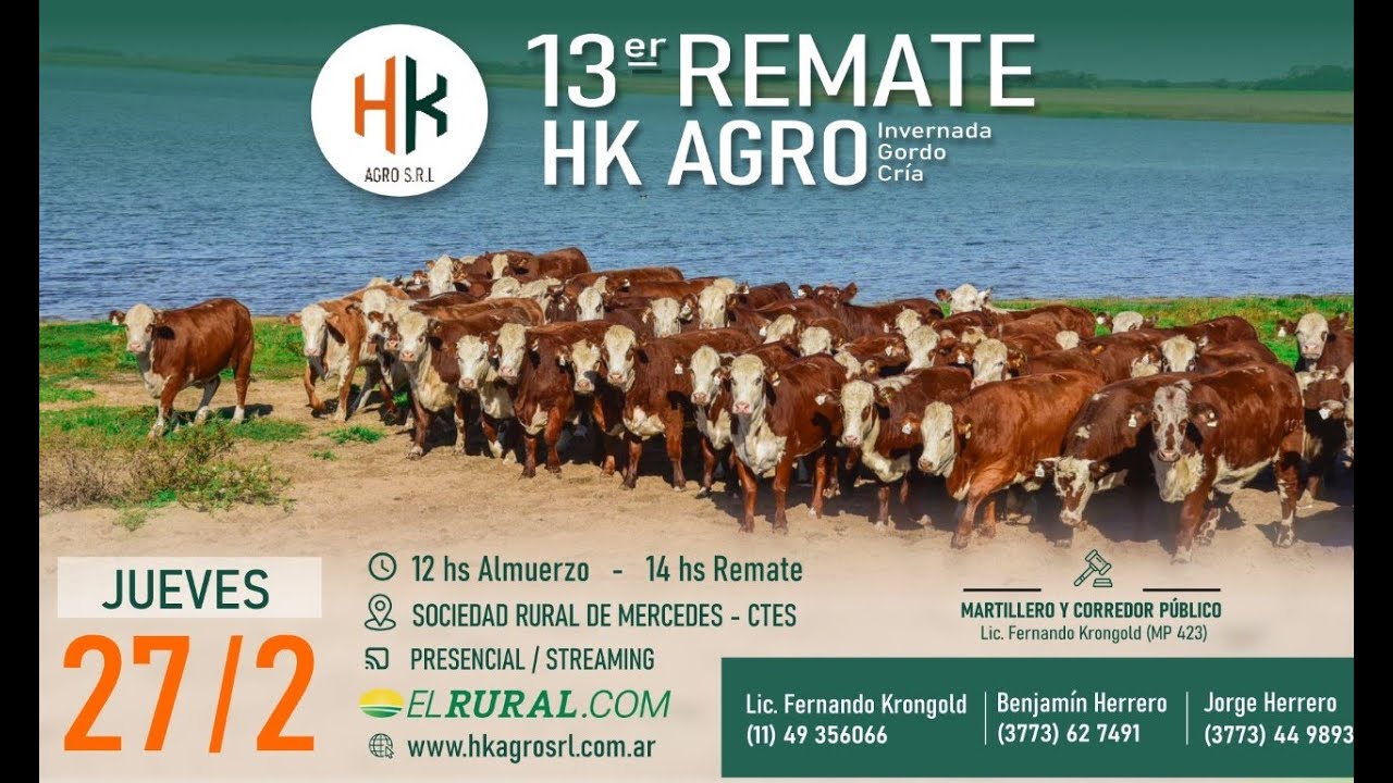 13° REMATE HK AGRO SRL - YouTube