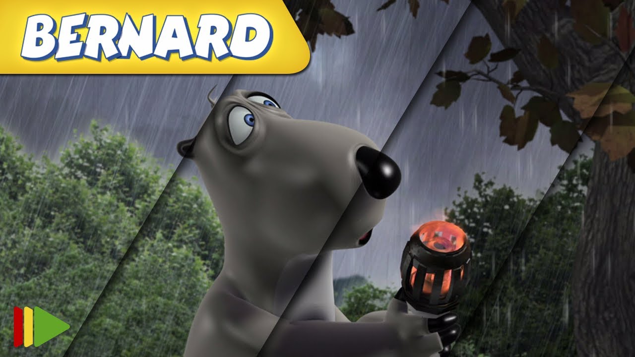 🐻‍ ️ BERNARD | Collection 60 | Full Episodes | VIDEOS and CARTOONS FOR ...