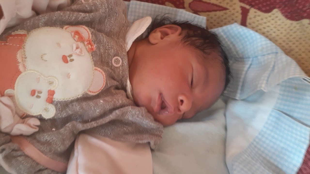 titia ama muito Maria Helena 🥰 - YouTube