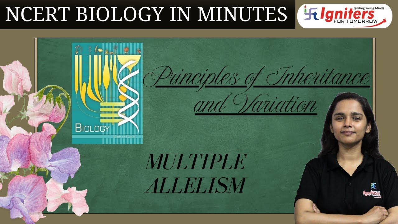 Multiple Allelism | Principles of Inheritance and Variation | NCERT ...