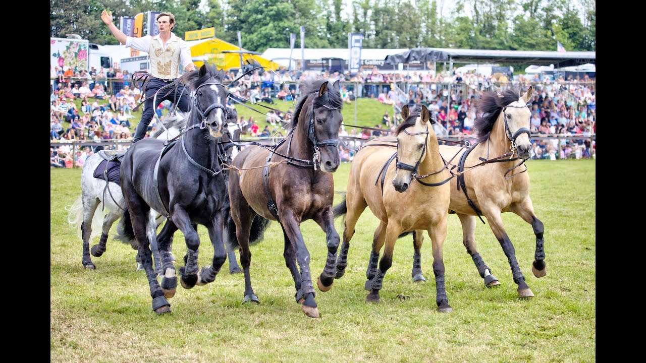 Atkinson Action Horses - YouTube