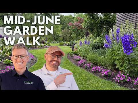 Mid-June Garden Walk 🌿 What's Blooming in Our Zone 6a Garden Right Now