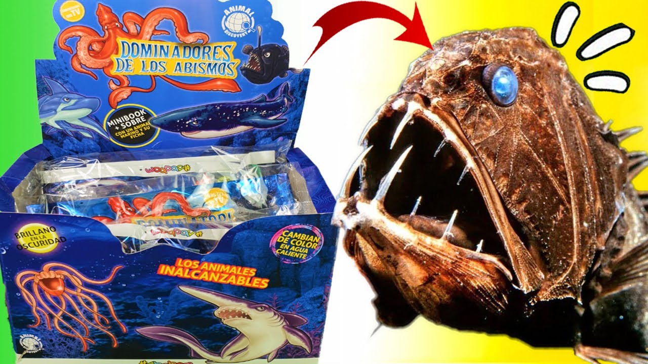 RAPE ABISAL, PEZ VIBORA, MEDUSA ABISAL | LAS PROFUNDIDADES MARINAS ...