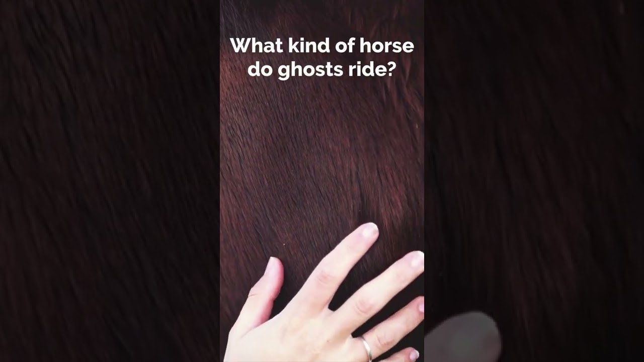 Halloween English Jokes - What kind of horse do ghosts ride? #shorts ...