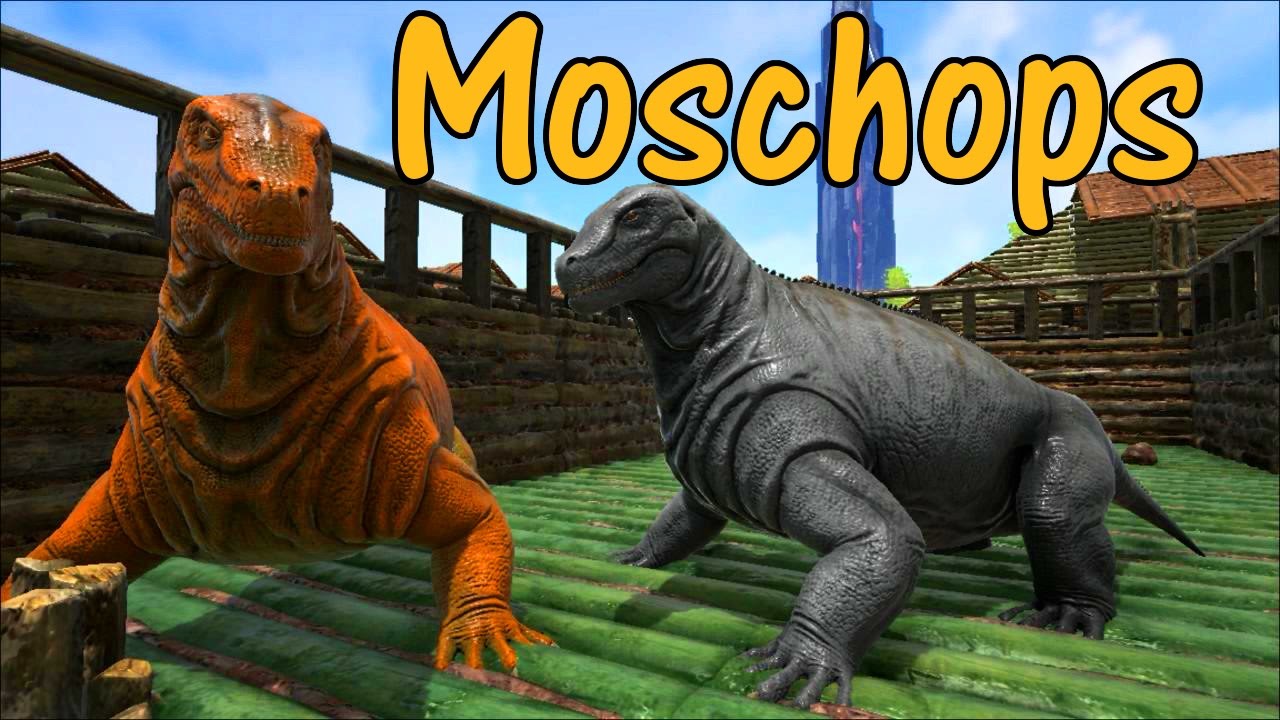 Moschops Educational Special [24] - YouTube