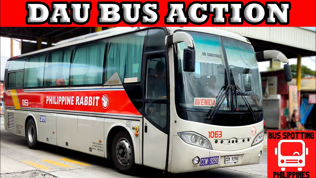 ASSORTED BUSES OF DAU TERMINAL - YouTube