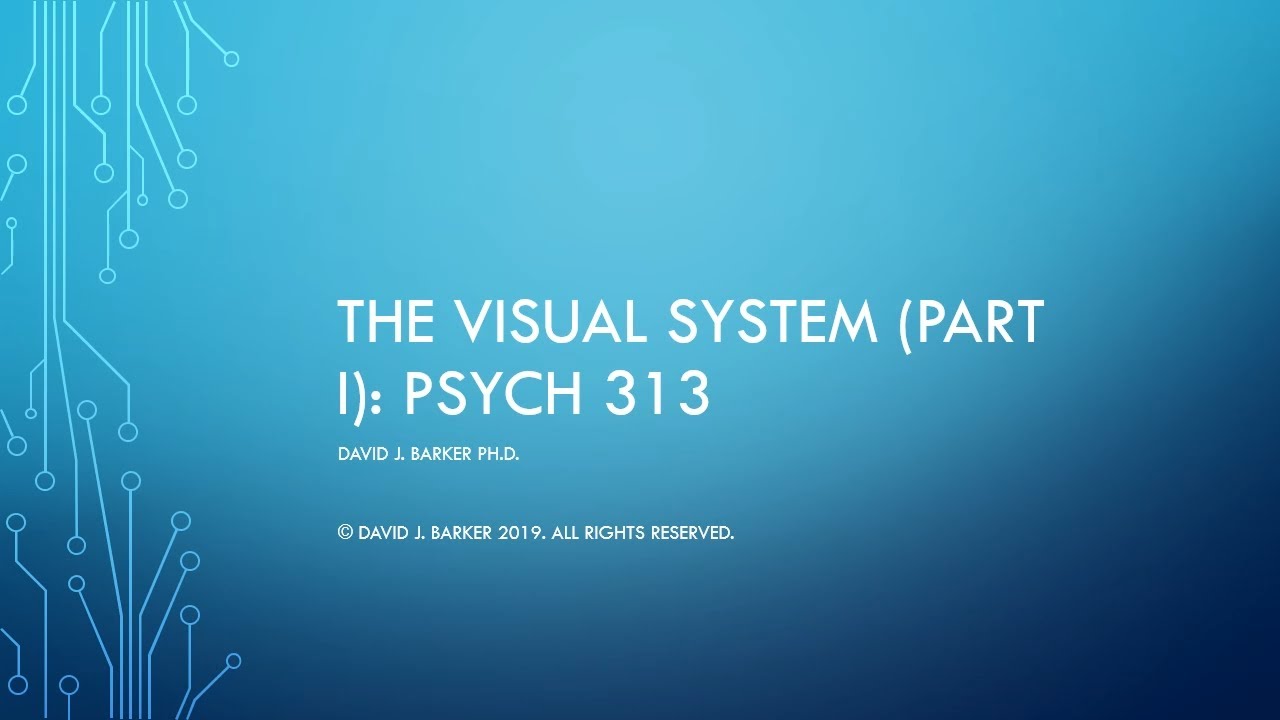 07--The neuroscience of the Visual System Part I - YouTube