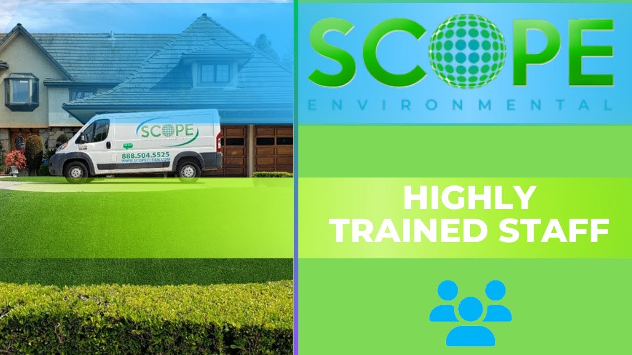 Mold Remediation│Scope Environmental - YouTube