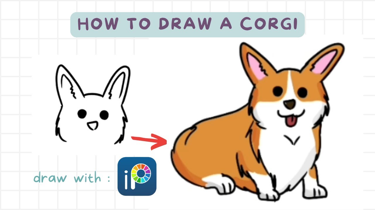 How to digital draw a Corgi - YouTube
