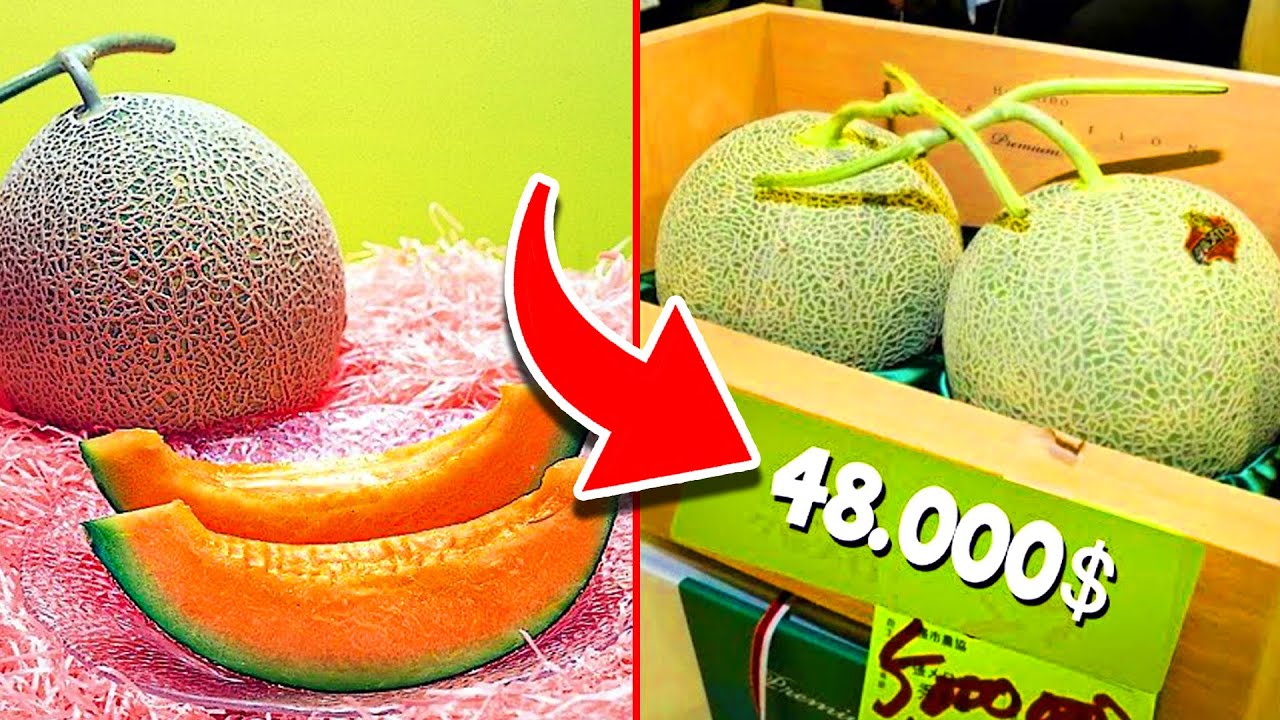 15 Most Expensive Foods in the World - YouTube