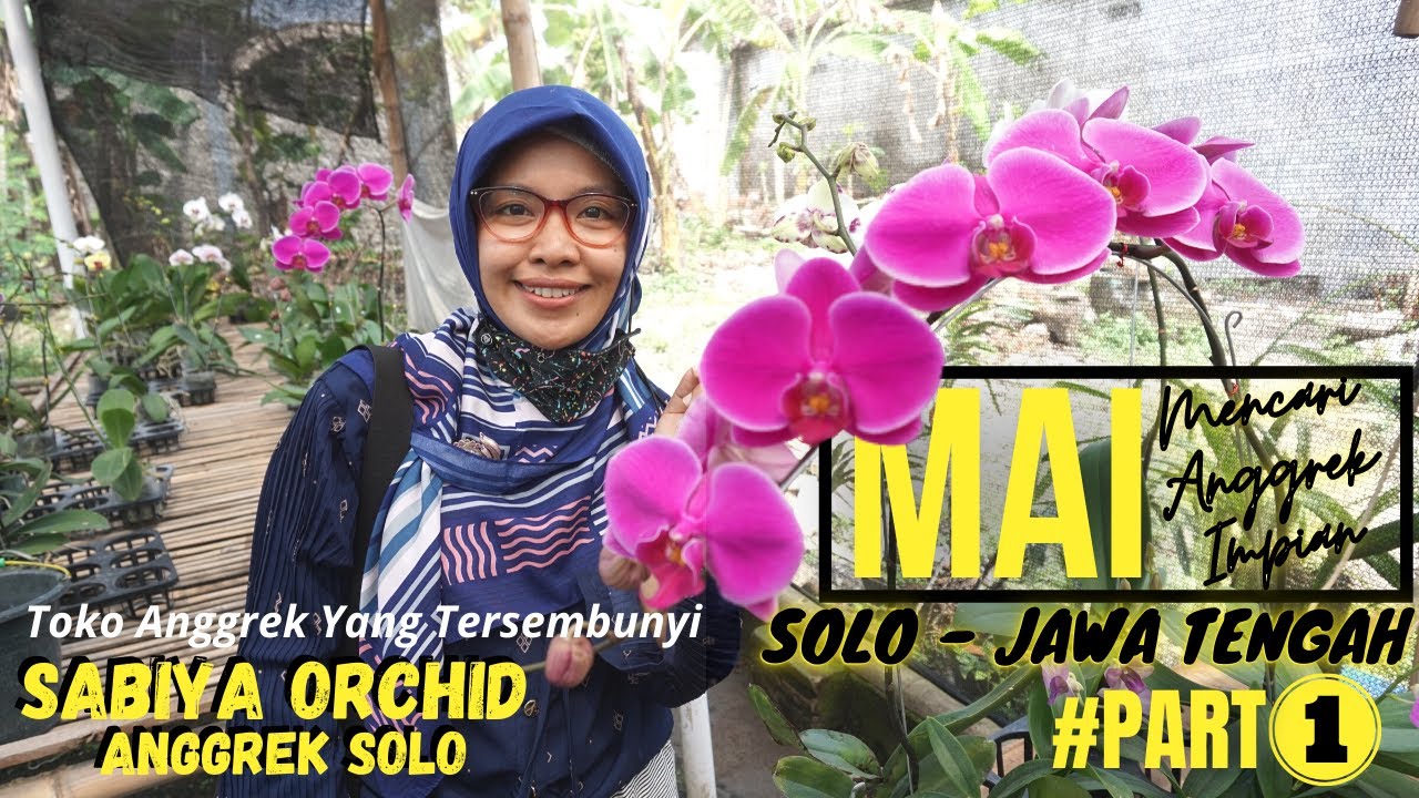 Toko Anggrek TERSEMBUNYI di SOLO..!!!! - SABIYA ORCHID / ANGGREK ...