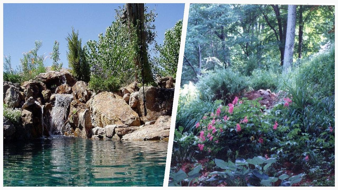 75 Rustic Turquoise Landscaping Design Ideas You'll Love 😊 - YouTube