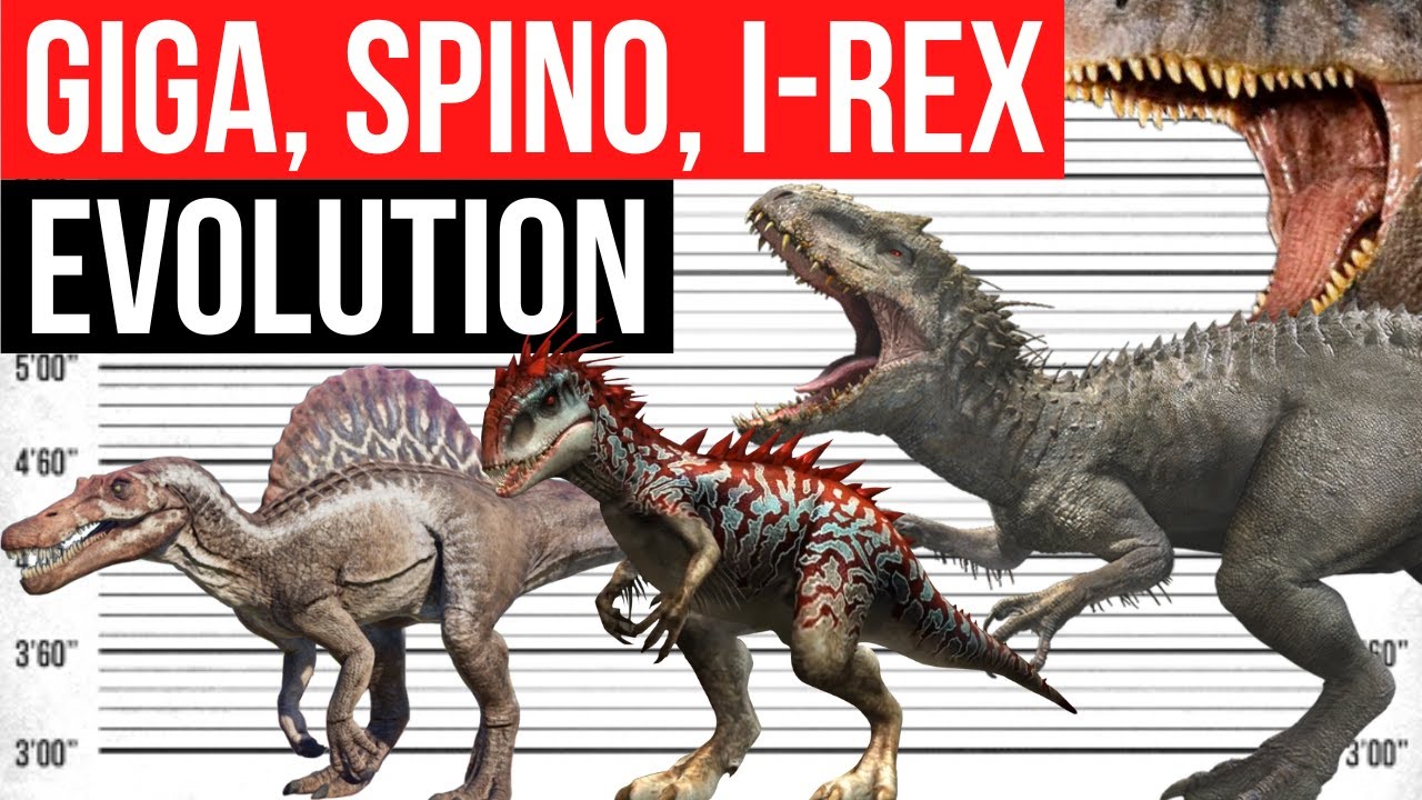 Evolution Of Indominus Rex, Spinosaurus And Giganotosaurus - YouTube
