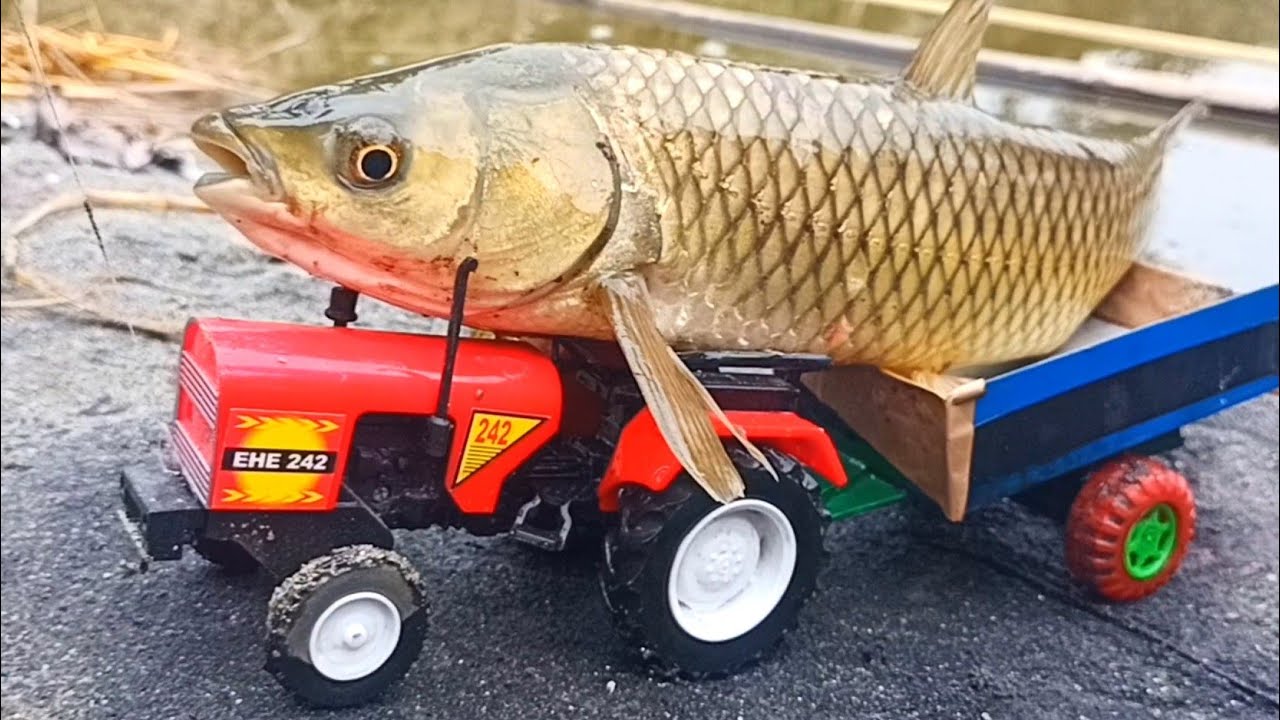 best fish 🐟 Helping video part-05| tractor cartoon video| and tractor ...