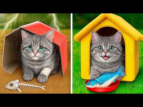 Küçük Kedi Kurtarıldı Ve Evlat Edinildi | Küçük Kedi Için Gizli Oda Multi DO Smile