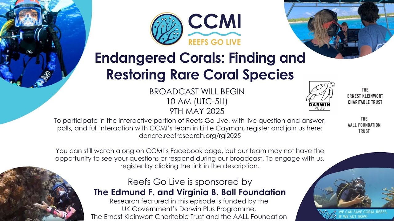 2025 Reefs Go Live: Endangered corals: Finding and restoring rare coral ...
