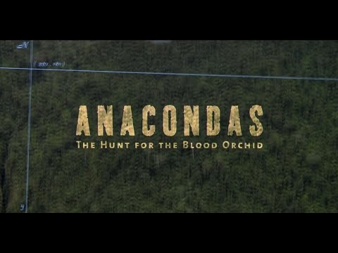 Anacondas: The Hunt For The Blood Orchid