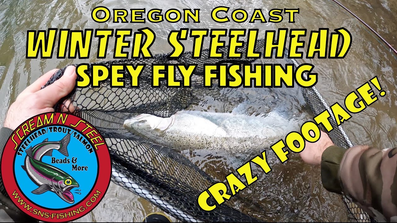Oregon Coast Winter Steelhead Spey Fly Fishing. Crazy Footage! - YouTube