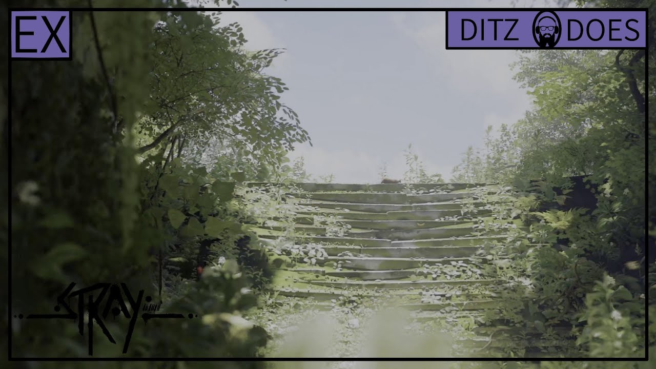 I AM SPEED! | Ditz Does Stray | PS5 Playthrough | EXTRA - YouTube