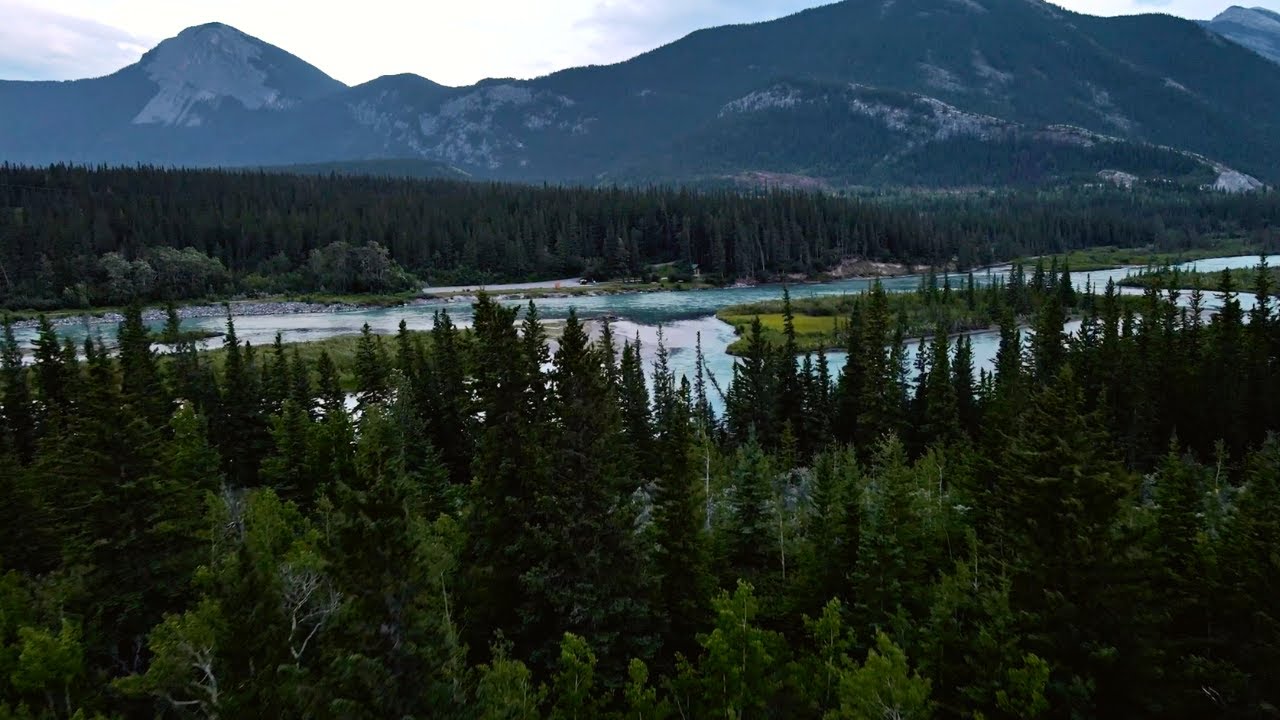 How we can plan a better future for Alberta's natural spaces | Alberta ...