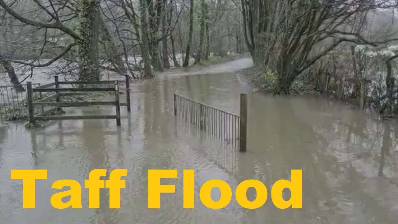 Flooding near Radyr Weir on the River Taff 12 Jan 2023. - YouTube