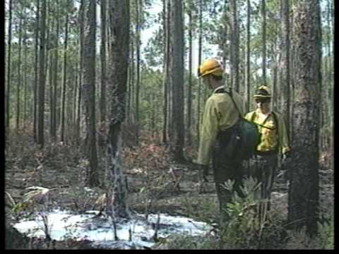 Minimum Impact Suppression Tactics - YouTube