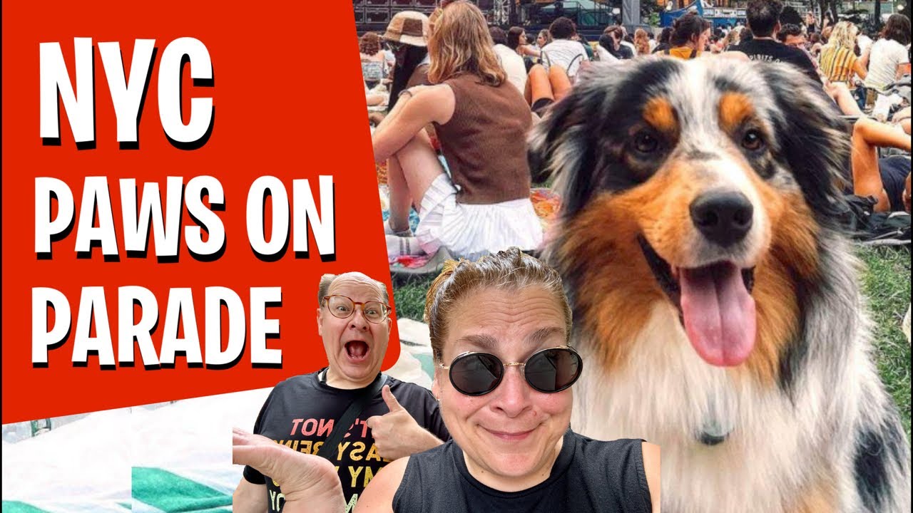 NYC Paws on Parade 🐶 Bryant Park #NYC #travel - YouTube