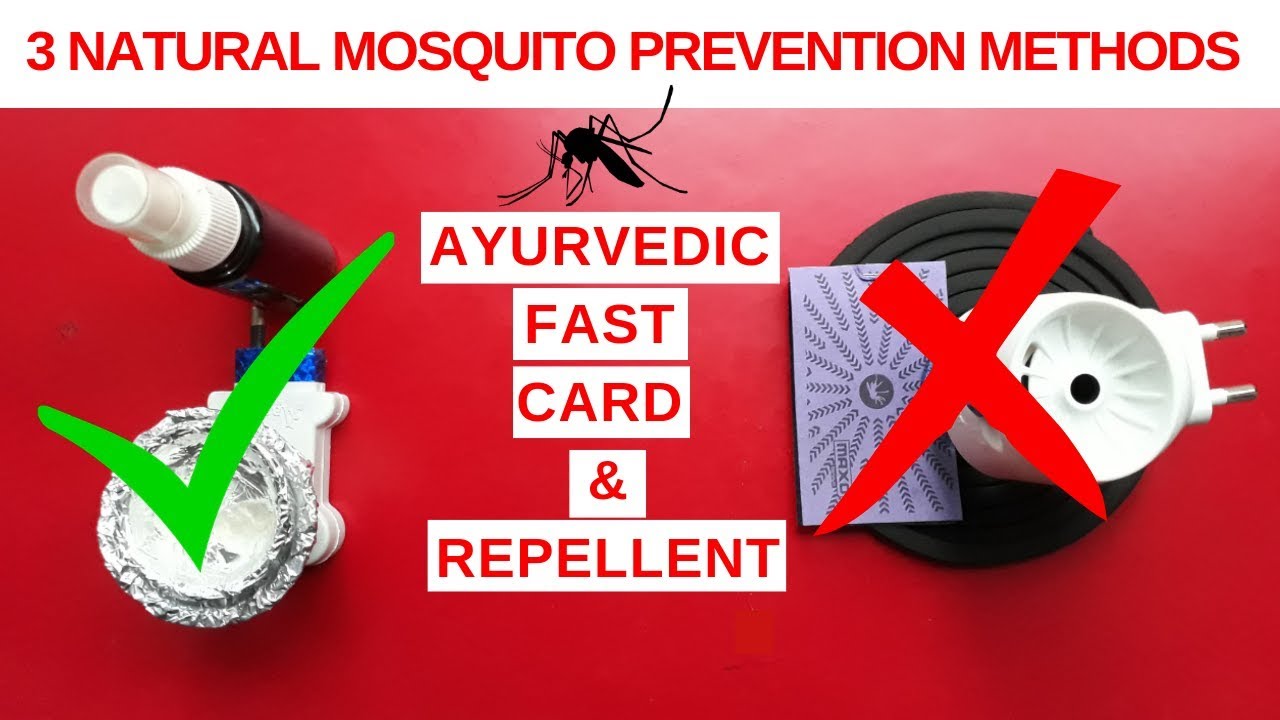 Ayurvedic Mosquito Prevention Methods - Get Rid of Mosquitoes Naturally ...