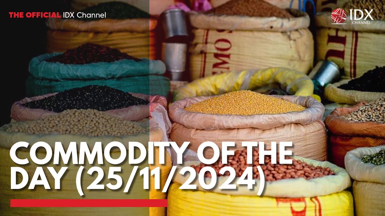 Commodity of the Day (25/11/2024) | IDX CHANNEL - YouTube