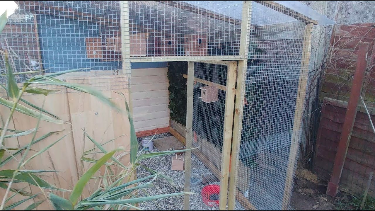 New Aviary Mini Update - Parakeet and Finch Aviary Almost Complete ...