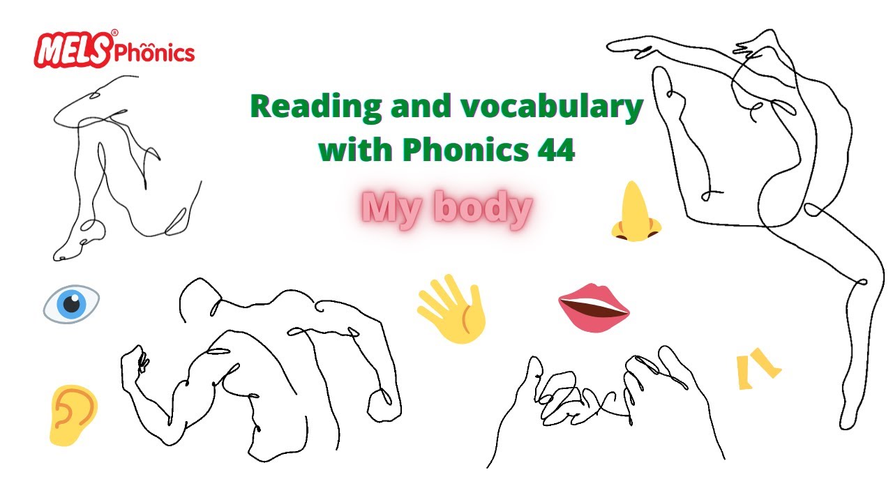 Reading & Vocabulary with Phonics 44 | Learning Phonograms || My Body ...