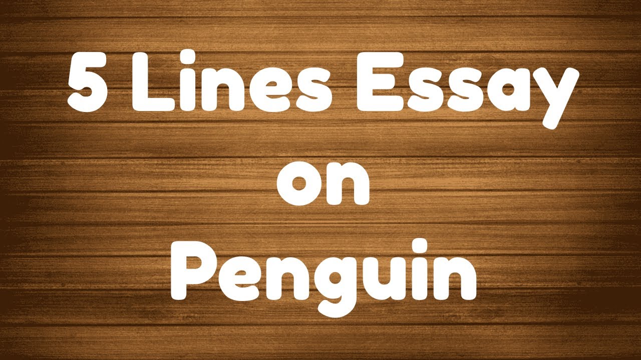 5 Lines on Penguins in English || Essay on Penguins || Short English Essay - YouTube