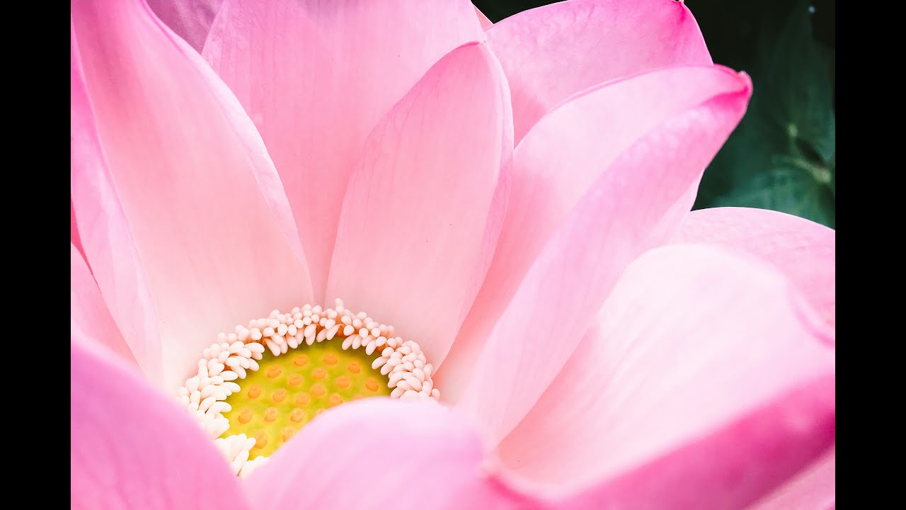 A Practice to Access Your Inner Goodness - YouTube