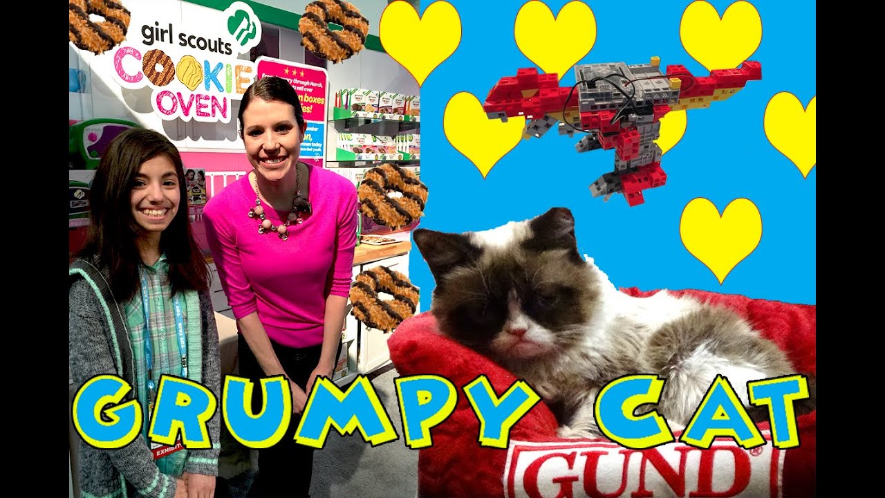 Grumpy Cat, DisneyCarToys, Hugging strangers, Robot Gorilla & T-Rex, NY ...