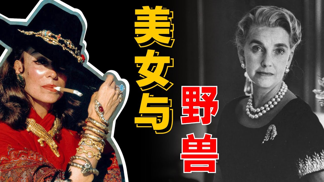 兩億項鏈如浮雲，一心只愛小貓咪？富婆們私下都好這口？- AHA LOLO - YouTube