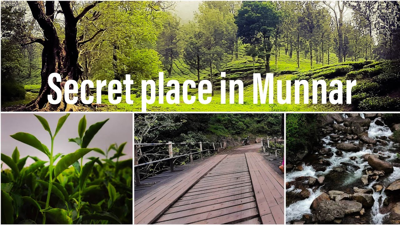 Secret place in Munnar part 1 - YouTube