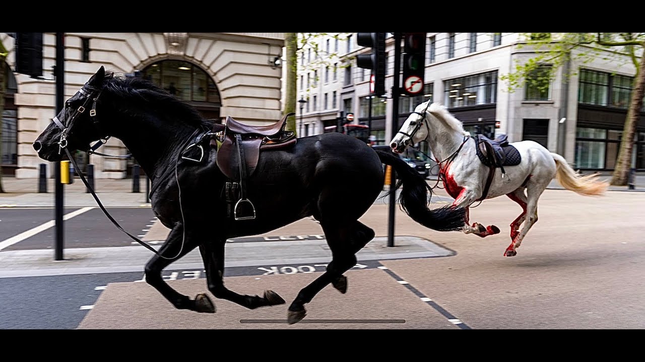 Time of Tribulation - The Reason for Trials - Sufferings that Bring ...